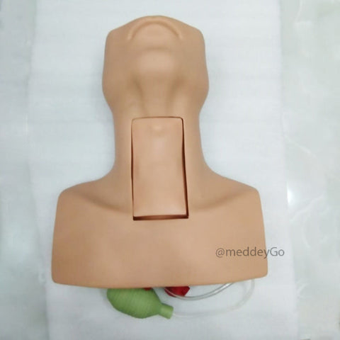 Tracheotomy and Endotracheal Intubation Model